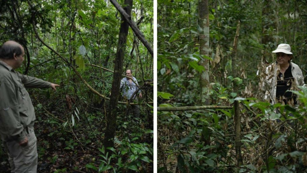Amazonian photograms in Tambopata | Rainforest Expeditions